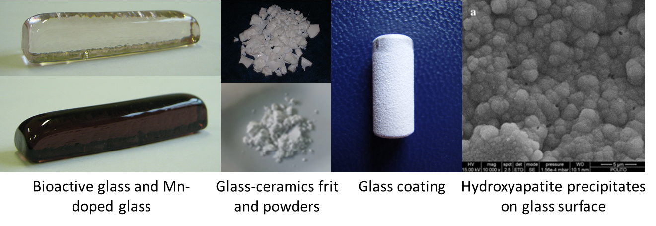 Bioactive glasses and glass-ceramics with tailored composition